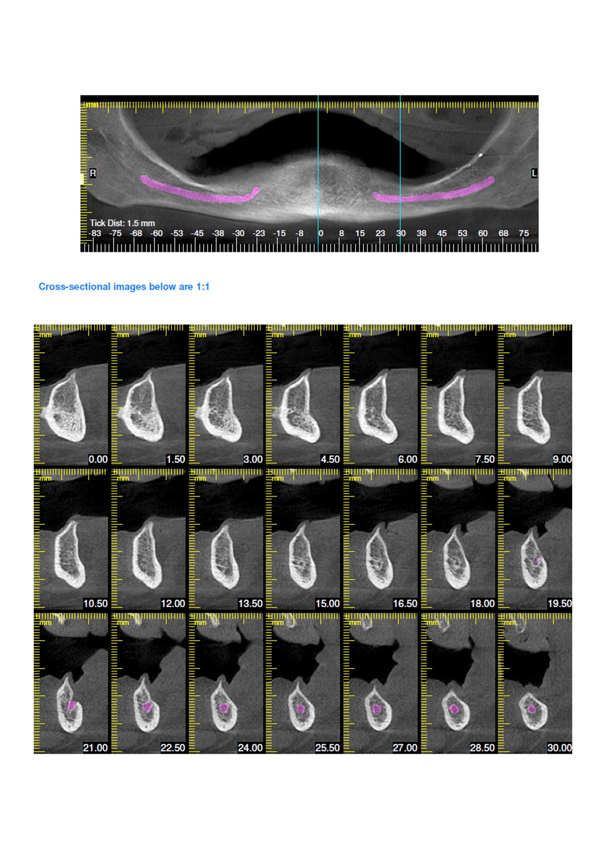 For Dentists - Victorian Dental Imaging Group